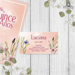 Pases para Quinceañera: Modelos y Diseños Exclusivos 2024